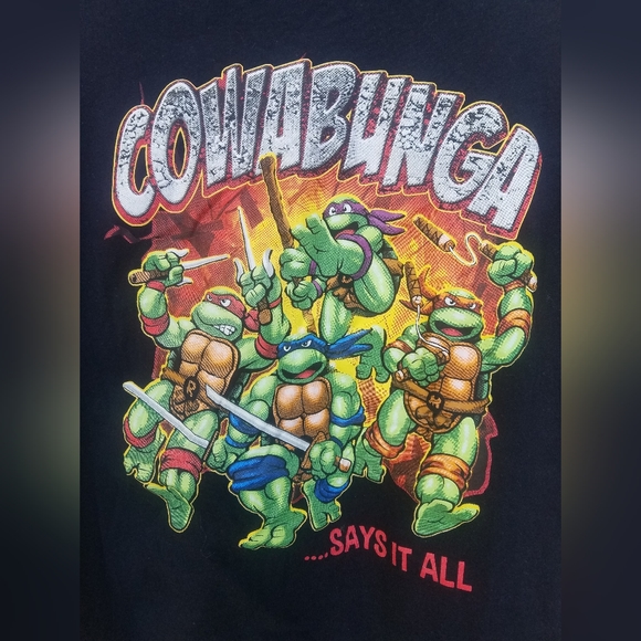 Nickelodeon | Shirts | Nwot Vintage Nickelodeon Teenage Mutant Ninja ...